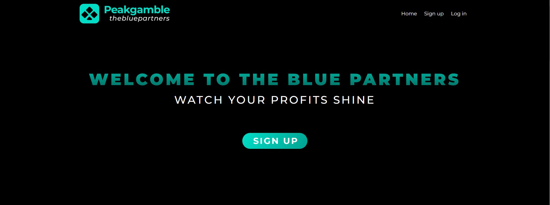 Home - The Blue Partners